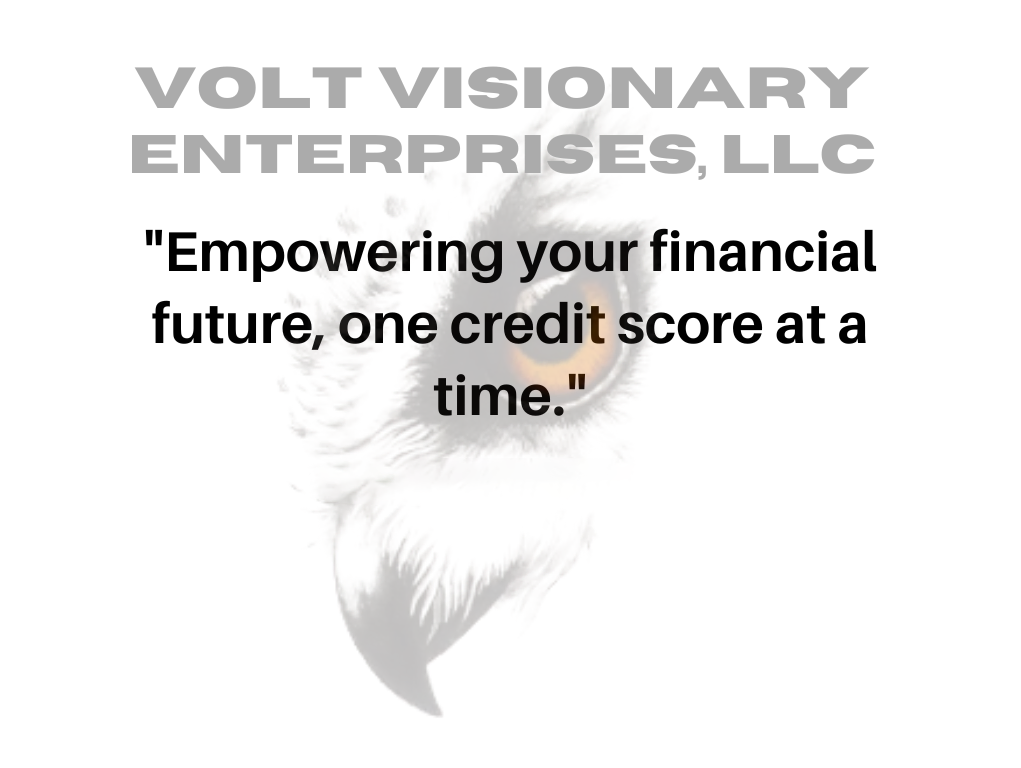 #1 Financial Consulting For Florida - Volt Visionary Enterprises